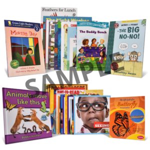 Individualized Daily Reading Library Essential Collection: Fiction and ...