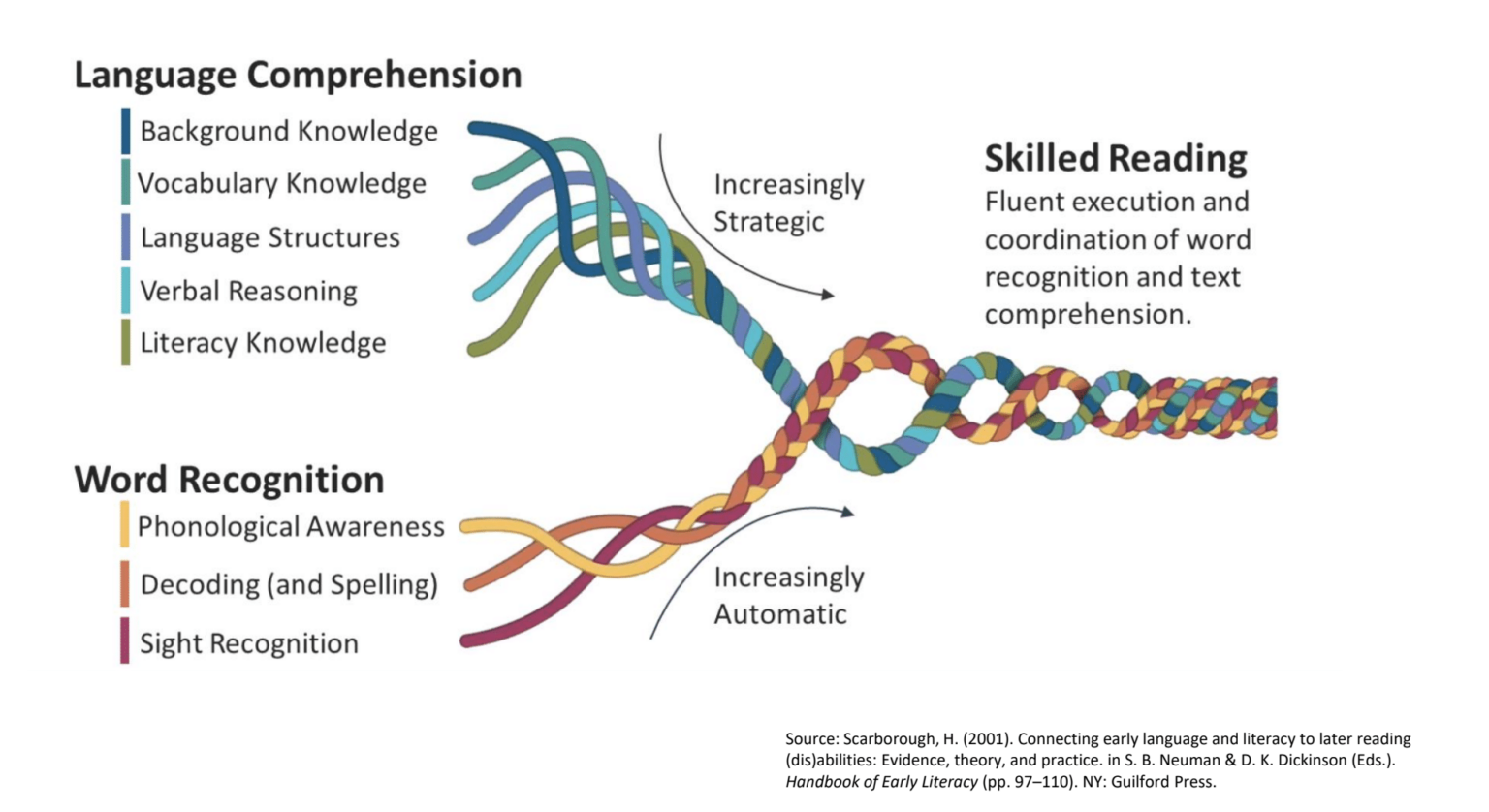 What is Orthographic Mapping and How Does It Link to Comprehension ...