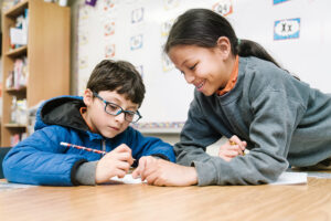 Reading and Writing: Reciprocal Opportunities to Become Both Brilliant ...