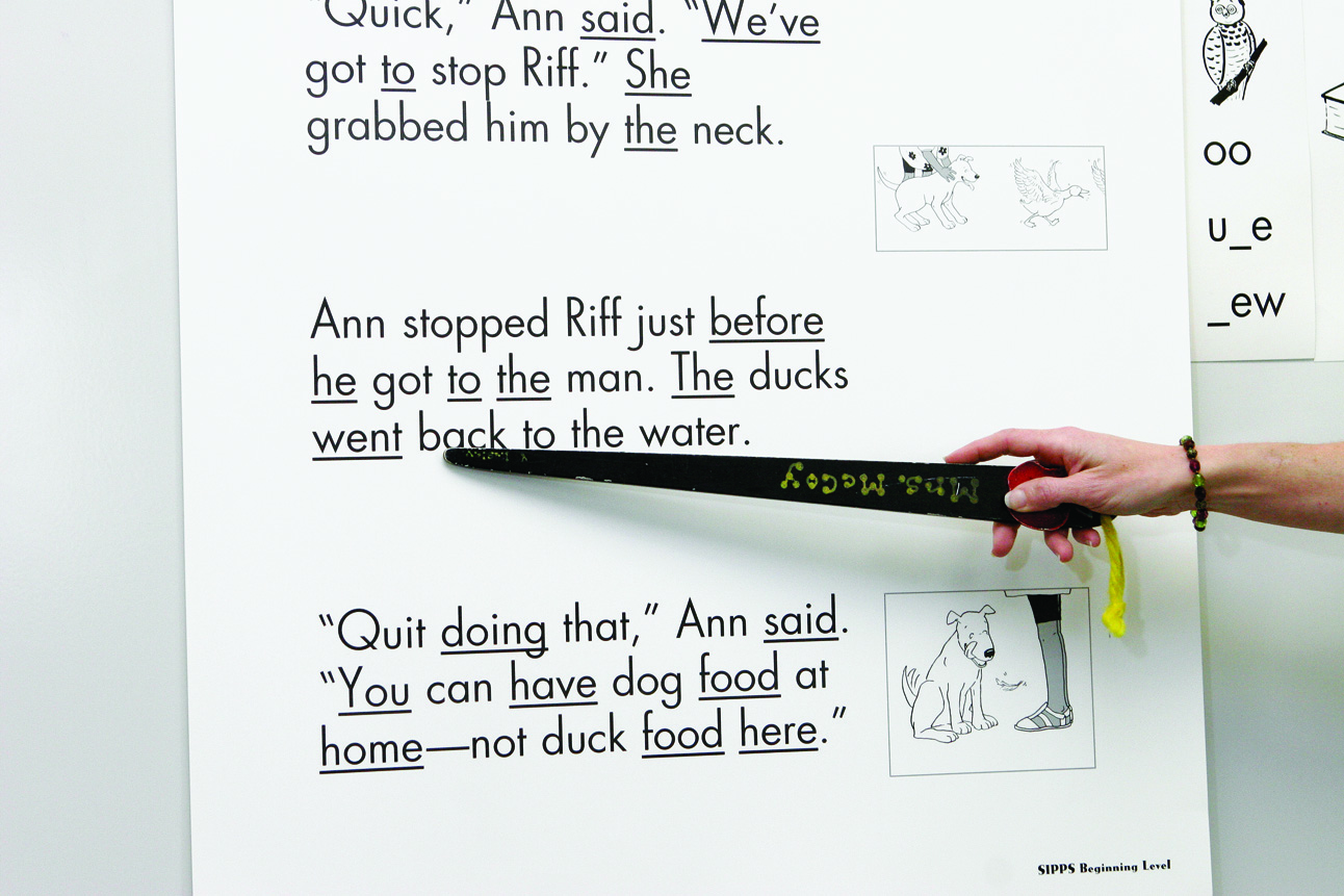 Achieving and Sustaining Change in Reading Instruction: What Does It ...