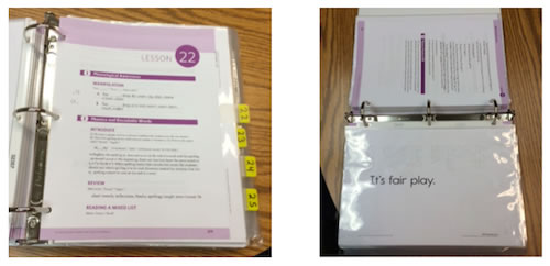 SIPPS Tip #4: Program Resources – Lesson Specific Pages | Center for ...